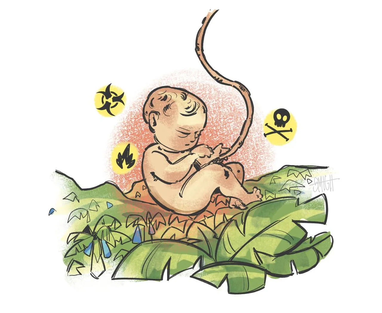 Myanmar's Tissue Banana Farms: Hidden Cost of Chinese Expansion